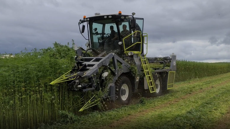 New harvester yields hemp fiber suitable for flax processing lines