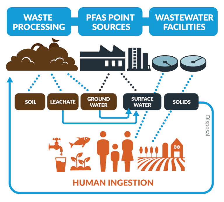 Belgian hemp trials show promise in extracting metals, chemicals from ...