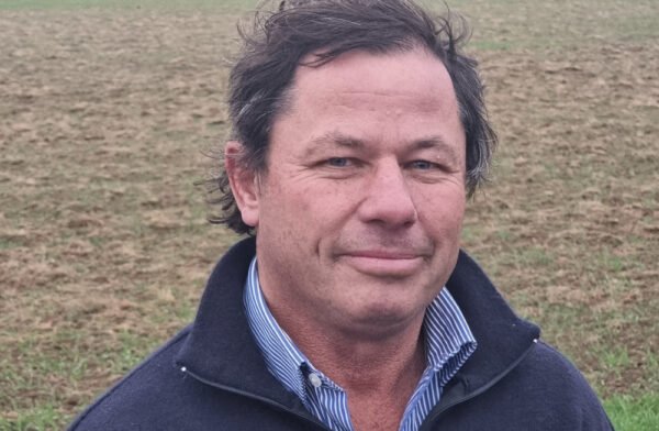 Australian inquiry spotlights hemp’s promise for housing, farming and ...